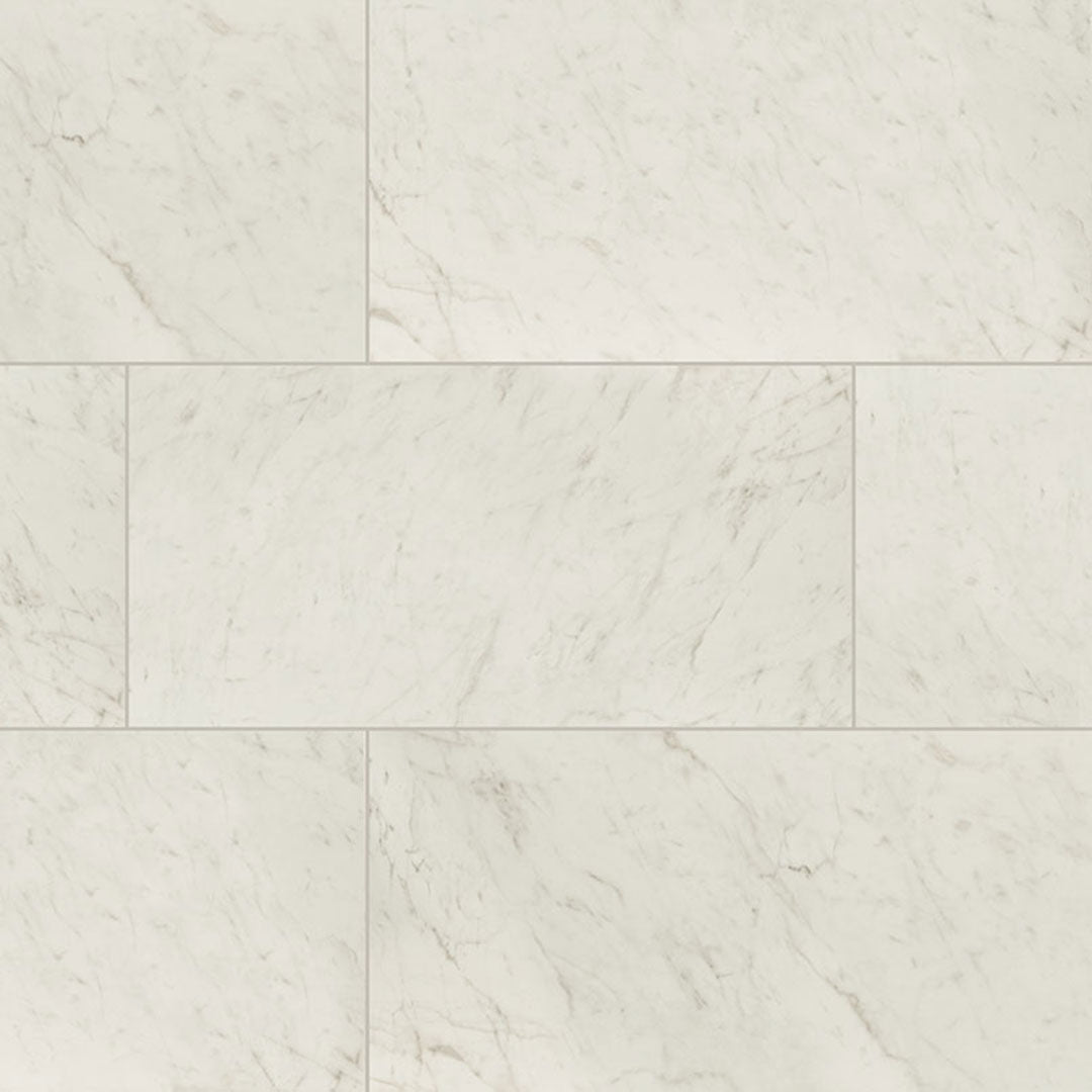 Carrara Bianco Matte, 24" x 48" | Porcelain Floor & Wall Tile by MSI ...