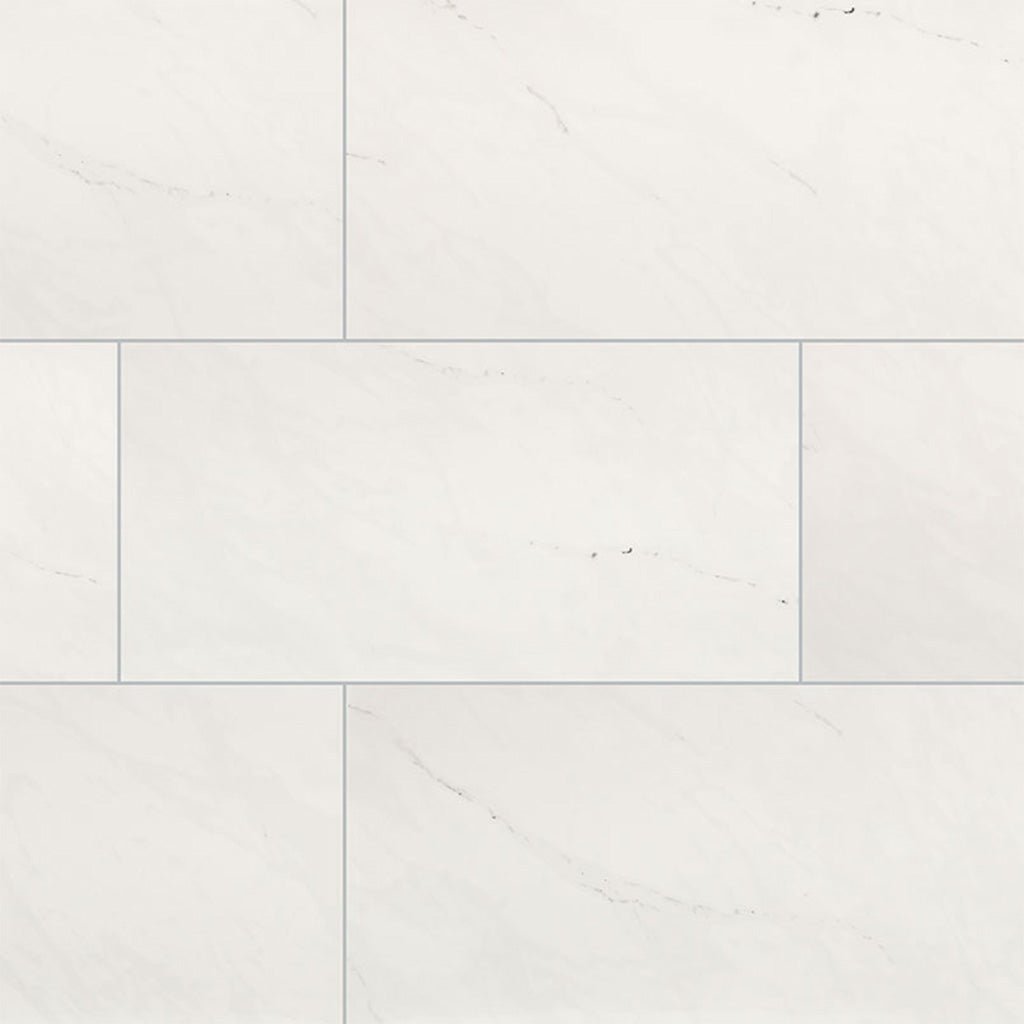 Aria Ice, 24" x 48" Porcelain Tile | NARICE2448P | Tile by MSI ...