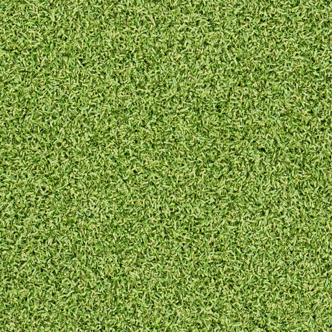 Evergrass Putting Green Turf 78, 15 Ft Wide | Golf Putting Green Grass