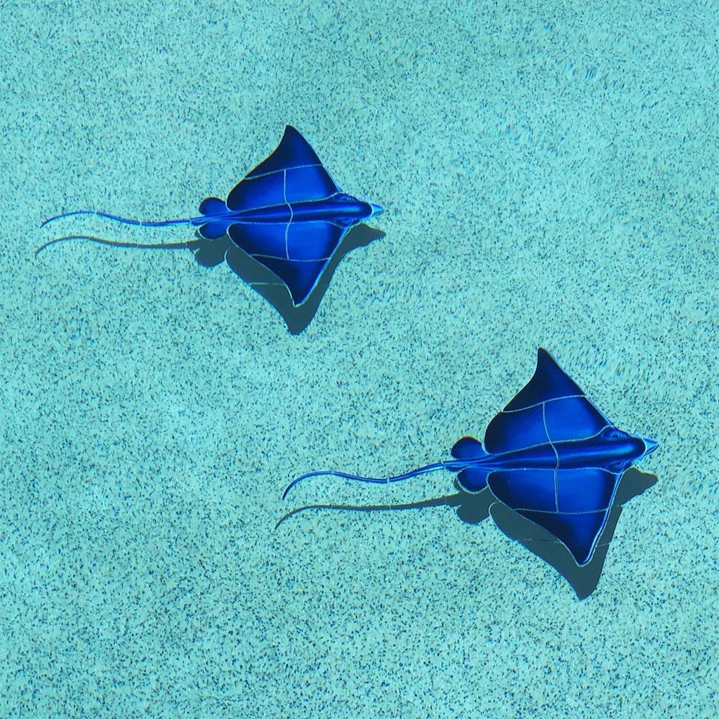 Shark & Ray Pool Mosaics | Shark Pool Tile Mosaics – AquaBlu Mosaics