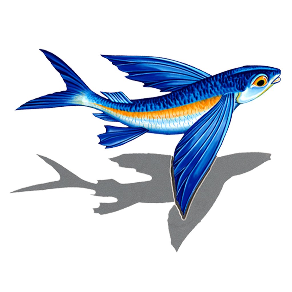 Flying Fish Cartoon