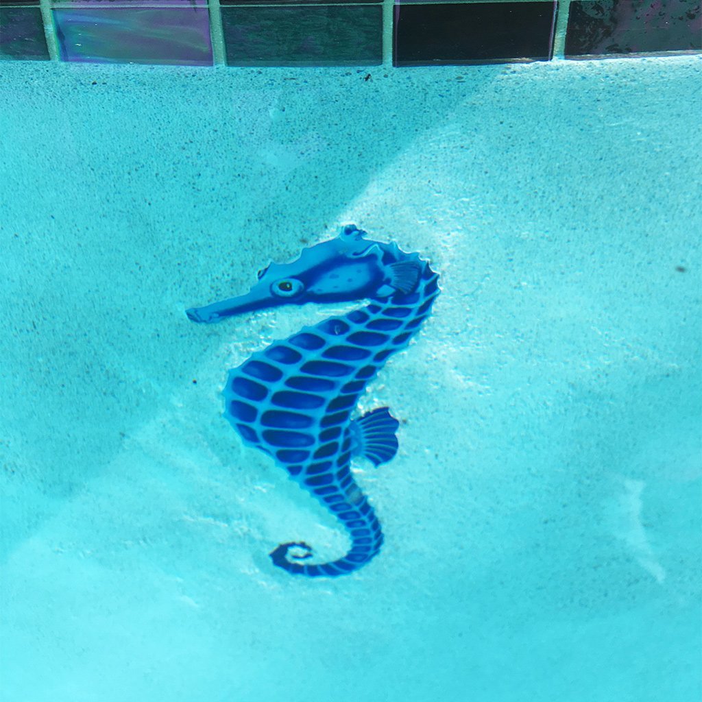 Blue Seahorse | PORC-SH17BL-4 | Pool Mosaic – AquaBlu Mosaics