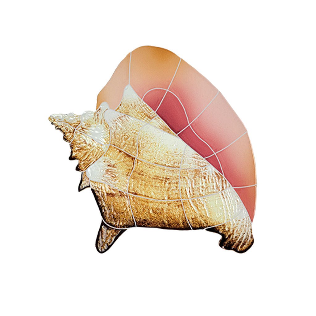 Conch Shell | CONTAS | Pool Mosaic – AquaBlu Mosaics