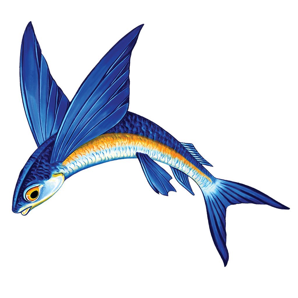 Flying Fish Porc-A Reverse | PORC-FF13R | Pool Mosaic – AquaBlu Mosaics