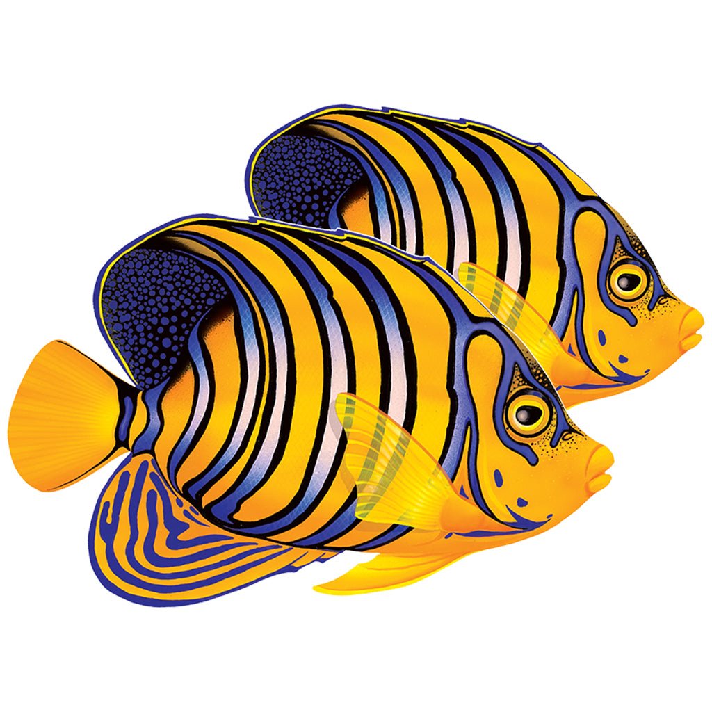 Regal Angelfish (Double) | PORC-RF8D-8 | Pool Mosaic – AquaBlu Mosaics