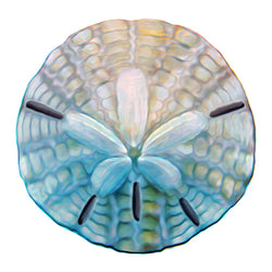 Accent & Pool Step Marker Tiles | Swimming Pool Step Markers – AquaBlu ...