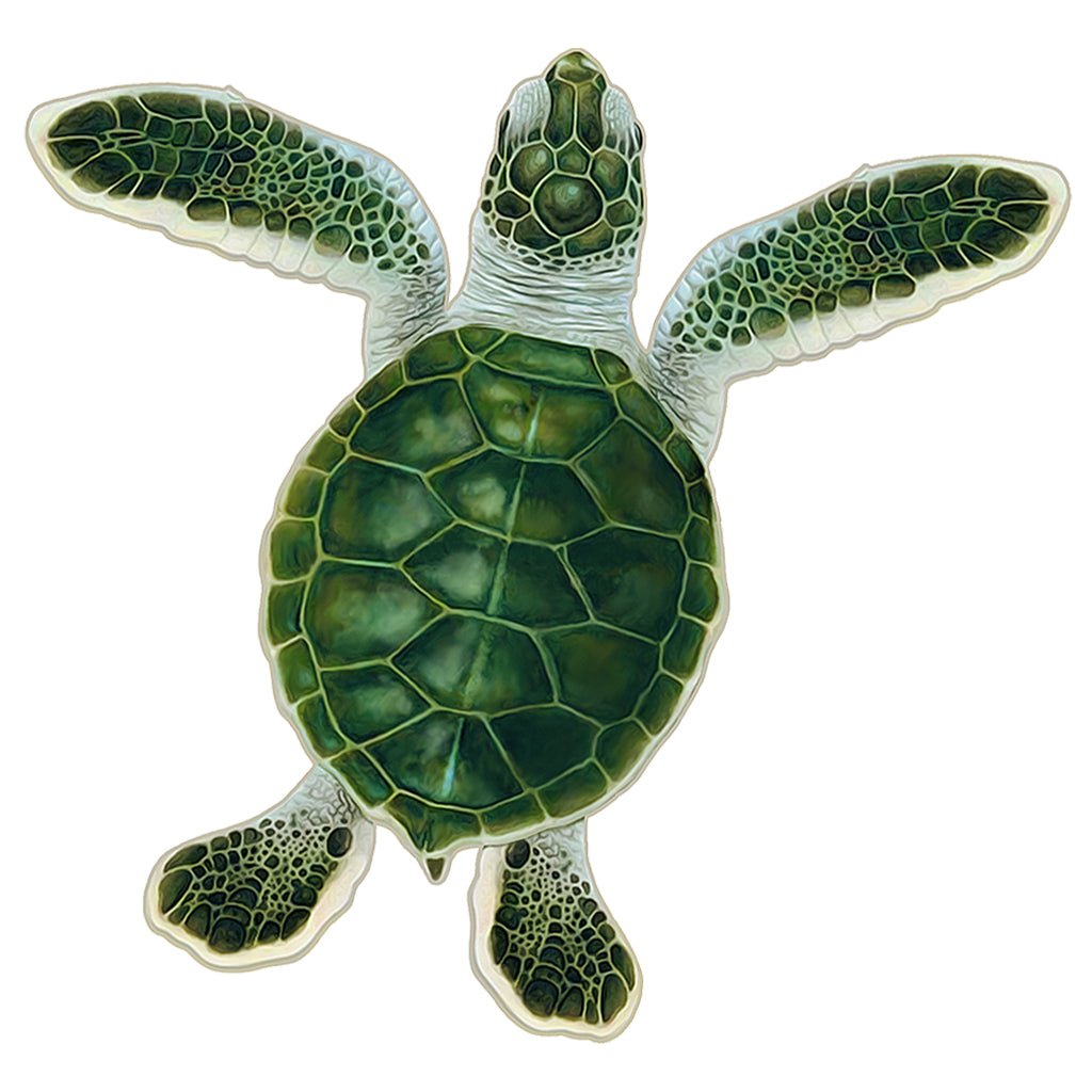 Turtle Hatchling A, Green | Pool Mosaic by Custom Mosaics – AquaBlu Mosaics