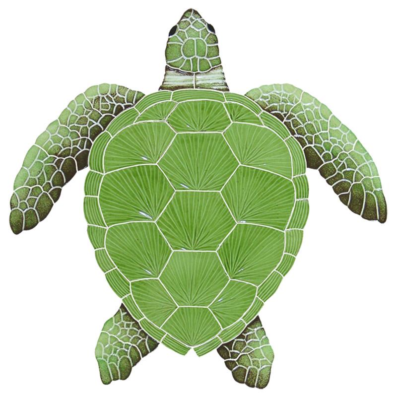 Sea Turtle Top View