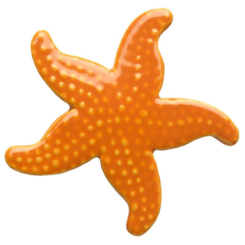 Orange Starfish Clipart